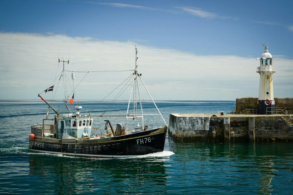 Commercial Fishing Jobs: Salary and Safety Requirements 2026 | Seafood ...